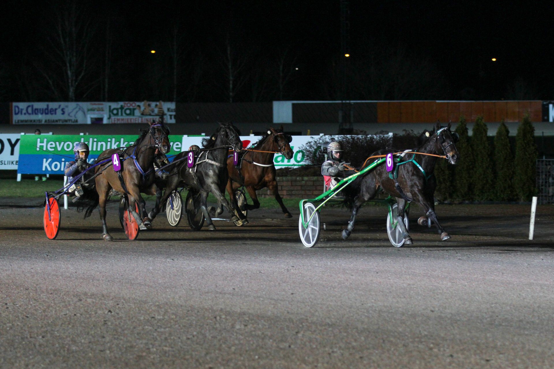 Suomen raviradat - Hippos