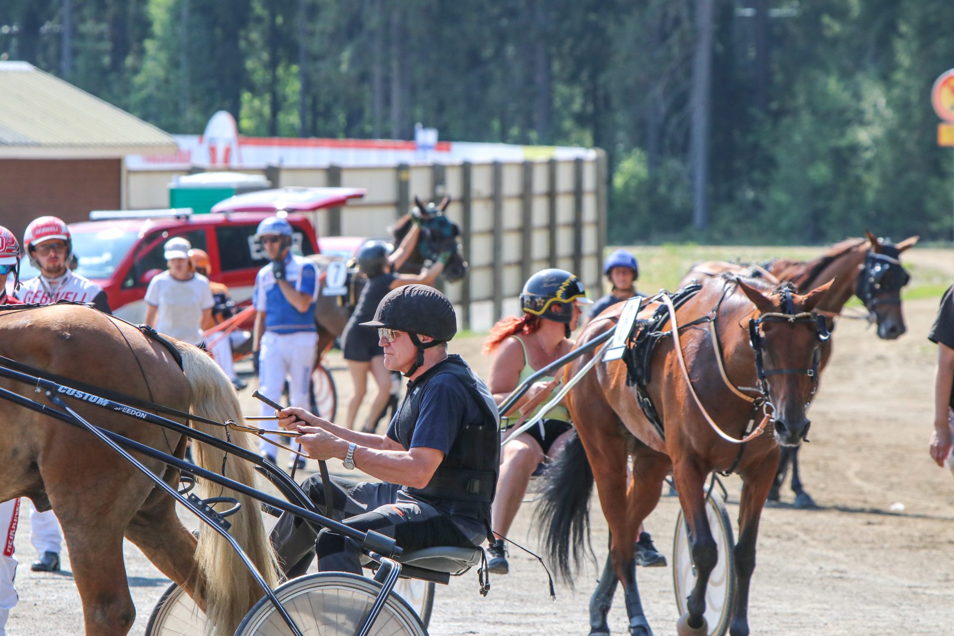 Heppa-järjestelmässä toimintahäiriö – Vermon 1.12. ravien ilmoittamisen ...