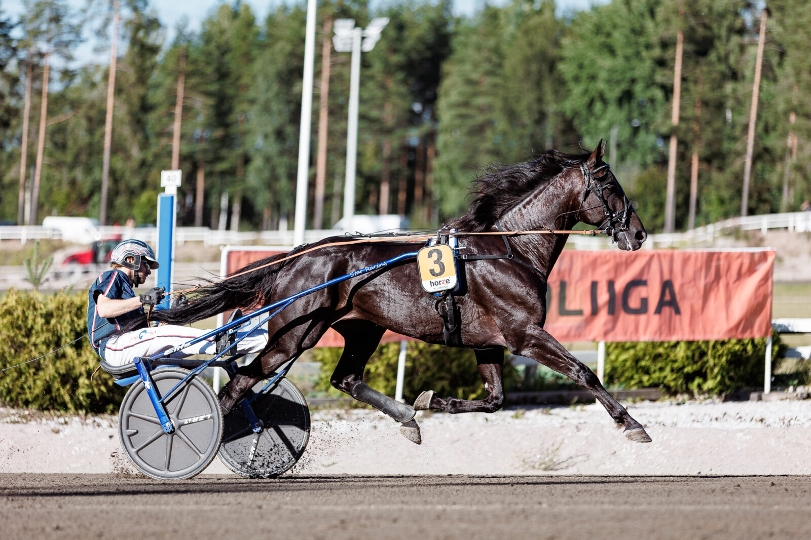Lämminveristen Suomen mestari selviää jälleen Derby-lauantaina ...