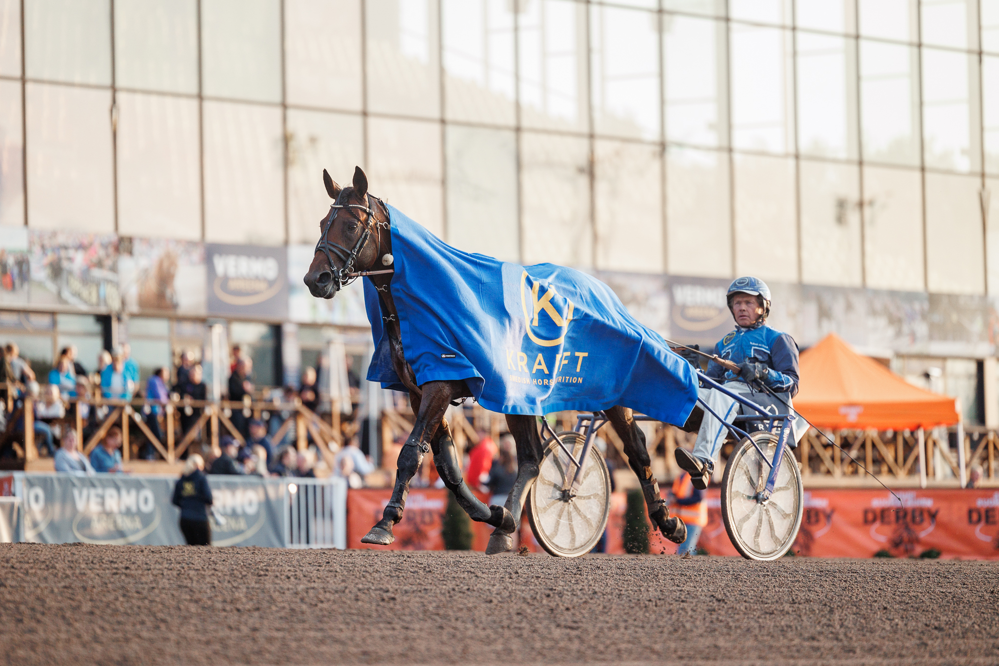Esittelyssä Suuren Suomalaisen Derbyn finalistit 2023 - Hippos