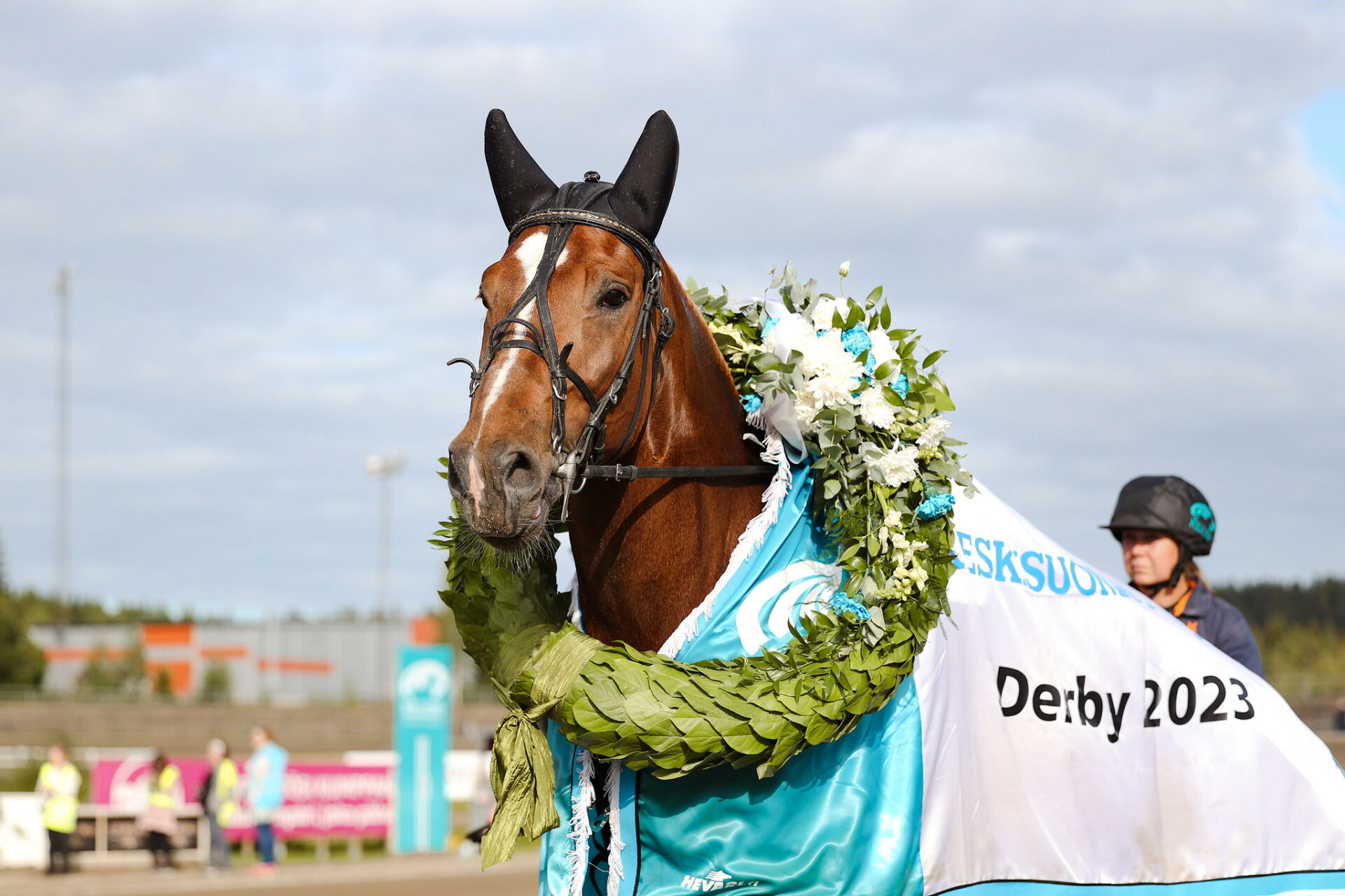 Wertti on viisivuotiaiden suomenhevosten Derbyn sankari - “Koko homma ...