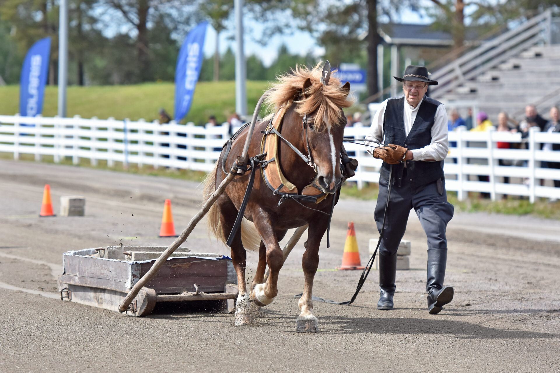 Ensikertalainen Henkan Juulia on Työmestari 2024 - Hippos