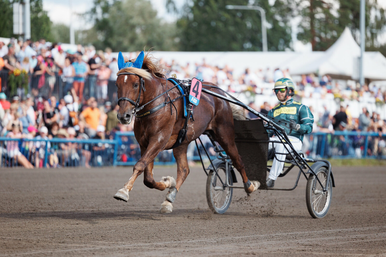 Killerin Kuninkuusravien pääkilpailujen osallistujat on valittu - Hippos
