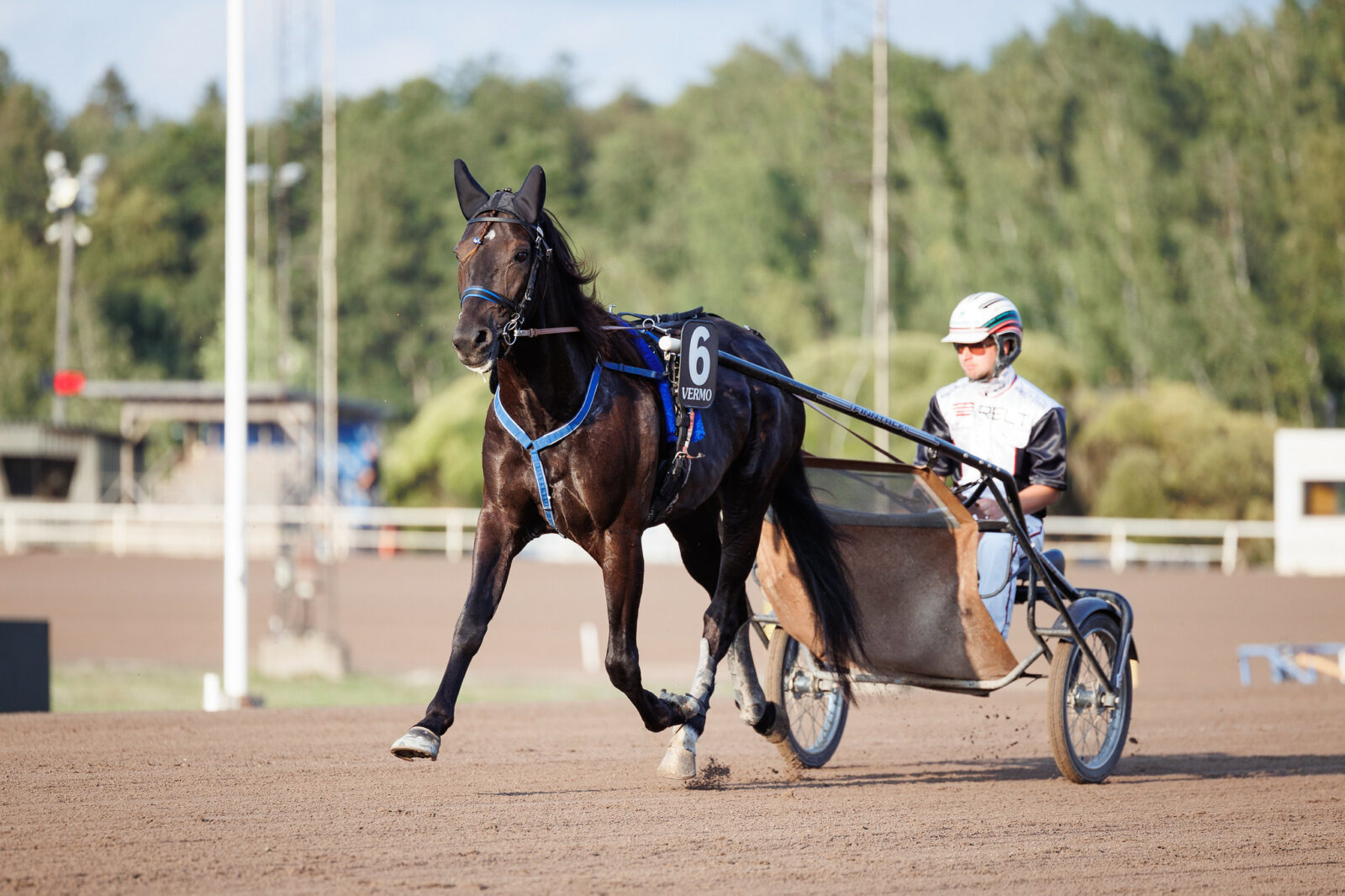 Tutustu Suuren Suomalaisen Derbyn finalisteihin 2024 - Hippos