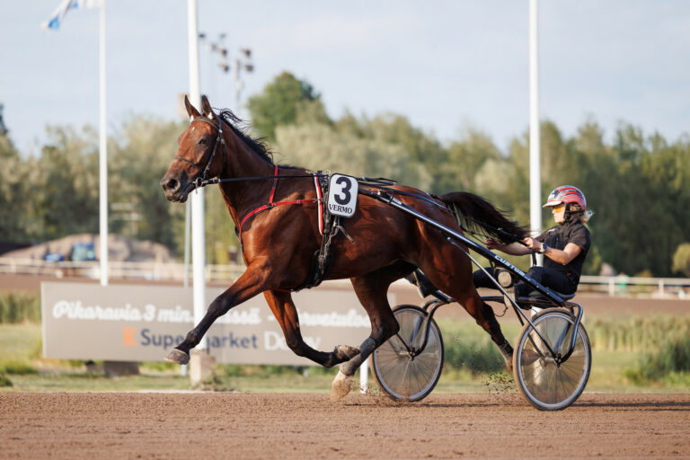 Tutustu Suuren Suomalaisen Derbyn finalisteihin 2024 - Hippos
