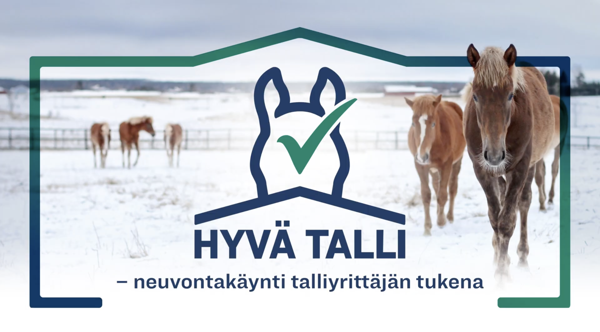 Hyvä Talli -laatujärjestelmä ja neuvontakäynnit - Kysymyksiä ja ...