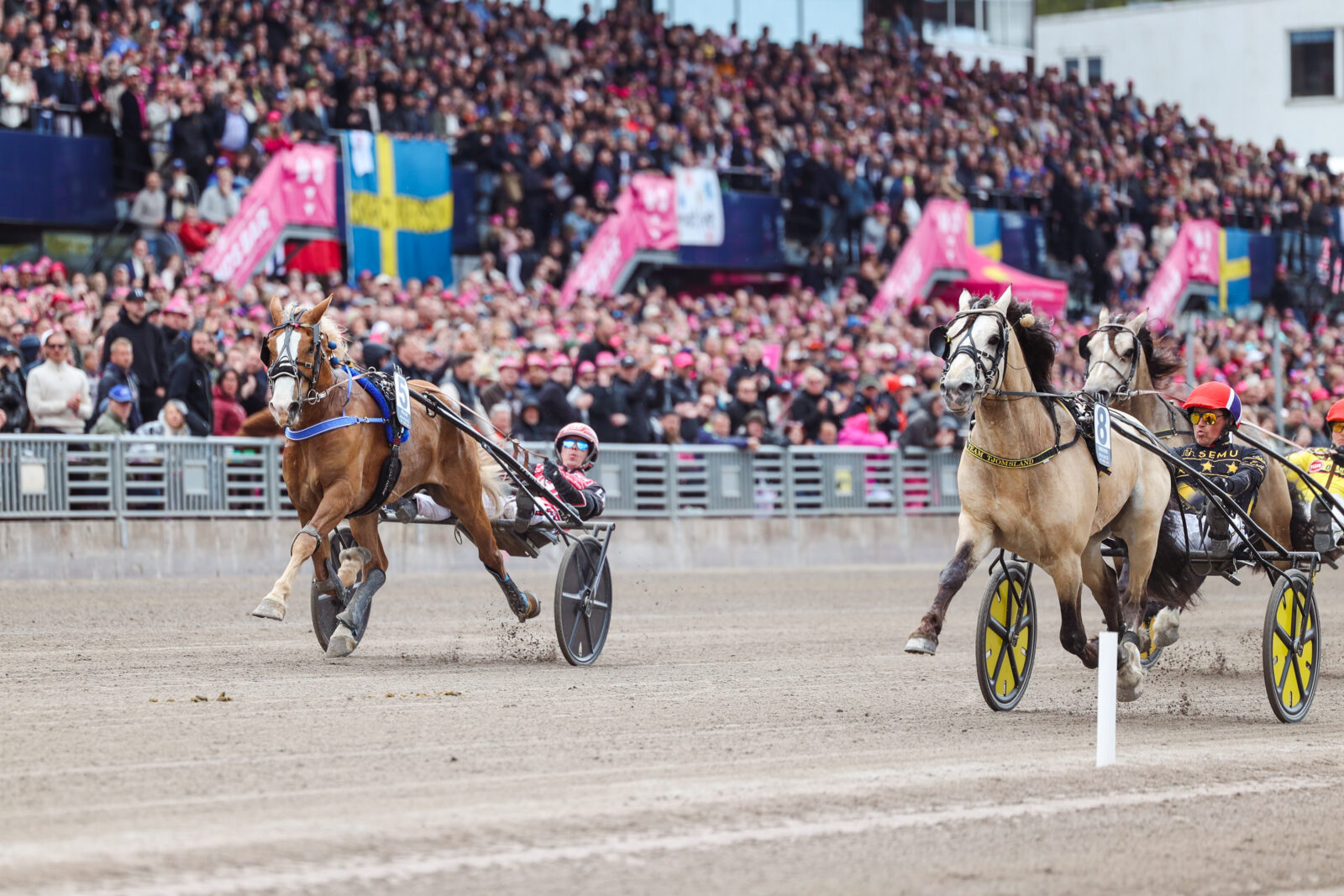 Massimo Hoist piti Suomen lipun korkealla Elitloppetissa - Hippos