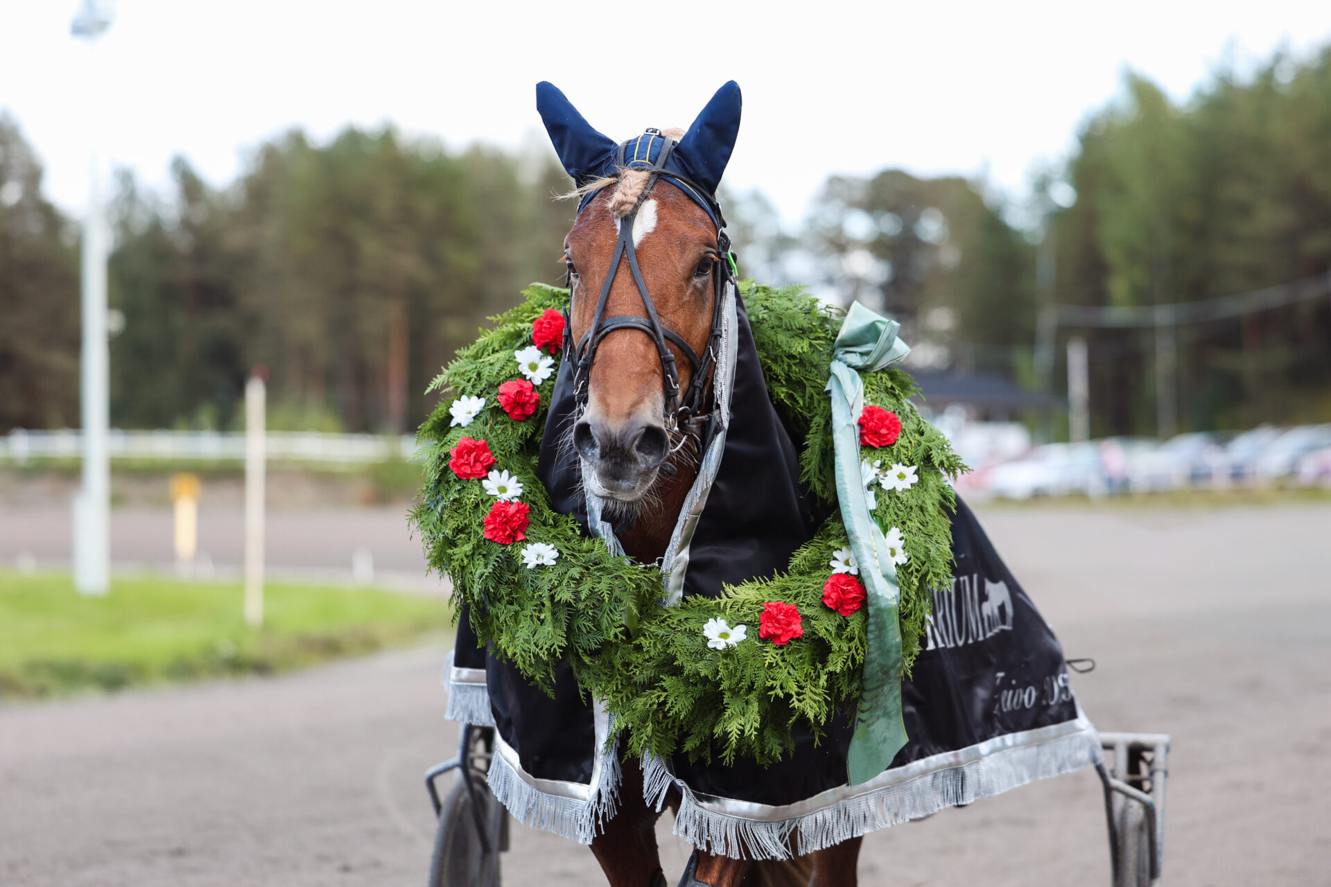 Camppari ja Ancio ovat Kriterium-tähdet vuosimallia 2025 - Hippos
